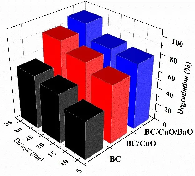 Biochar Produced from Dead Pine Needles to Produce Biochar/CuO and ...